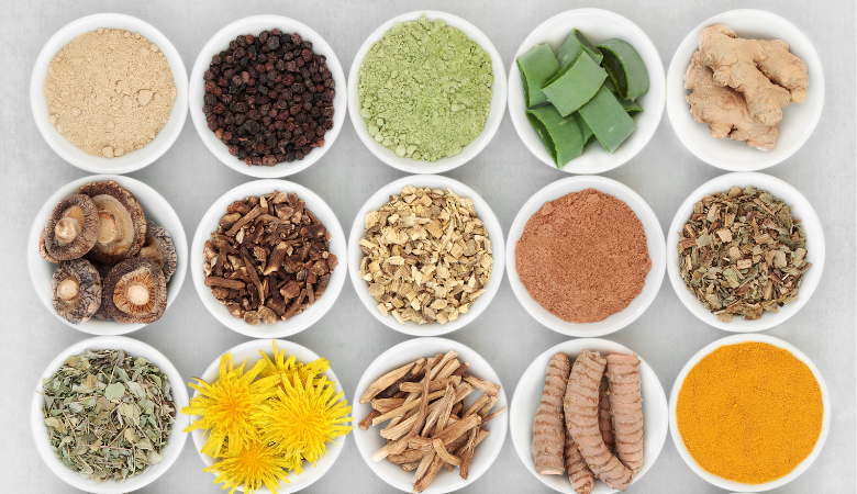 List of Adaptogens and Benefits (+ Research) – Lucid™