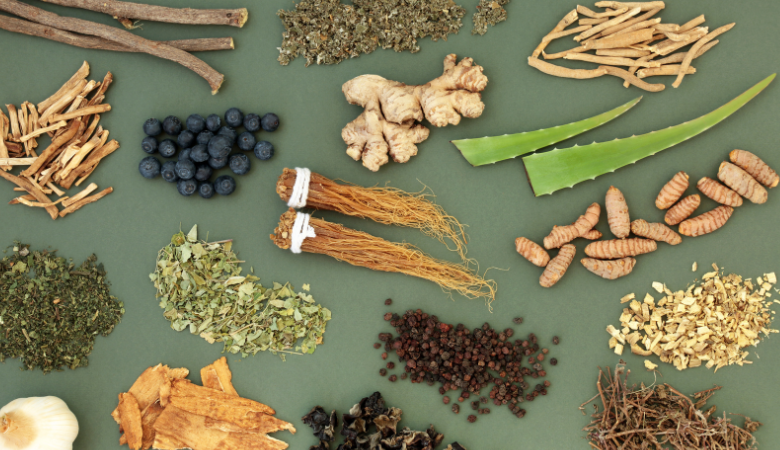 What are Adaptogens? Benefits, Drawbacks, & Where to Start – Lucid™